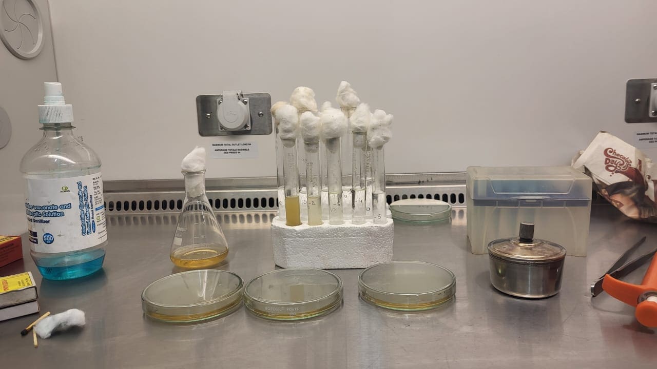 COVAS (Akola) - Veterinary Microbiology